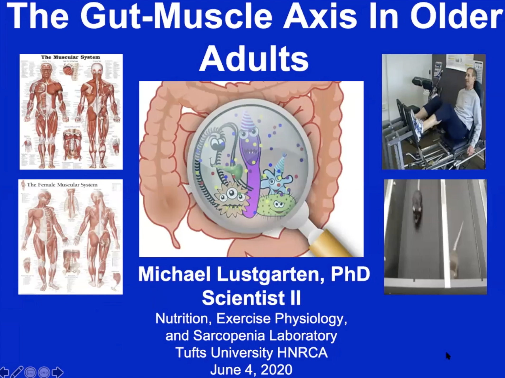 Gut Bacteria and Health | Michael Lustgarten
