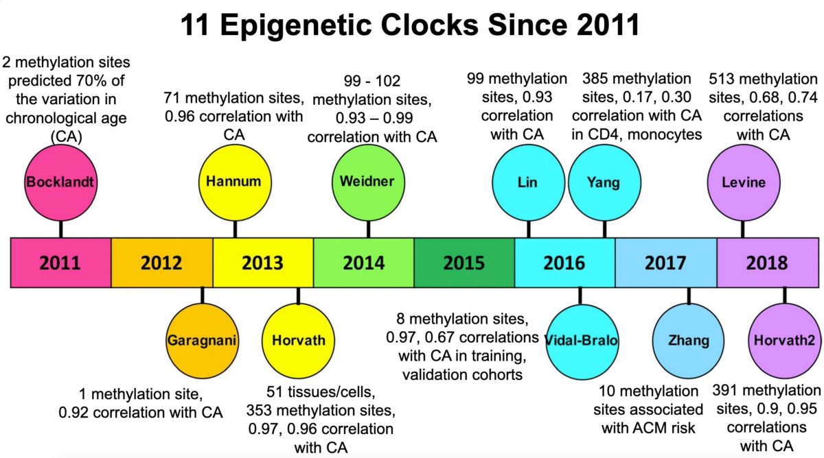 Epigenetic Clocks: Which Has The Best Correlation For Aging and Age ...