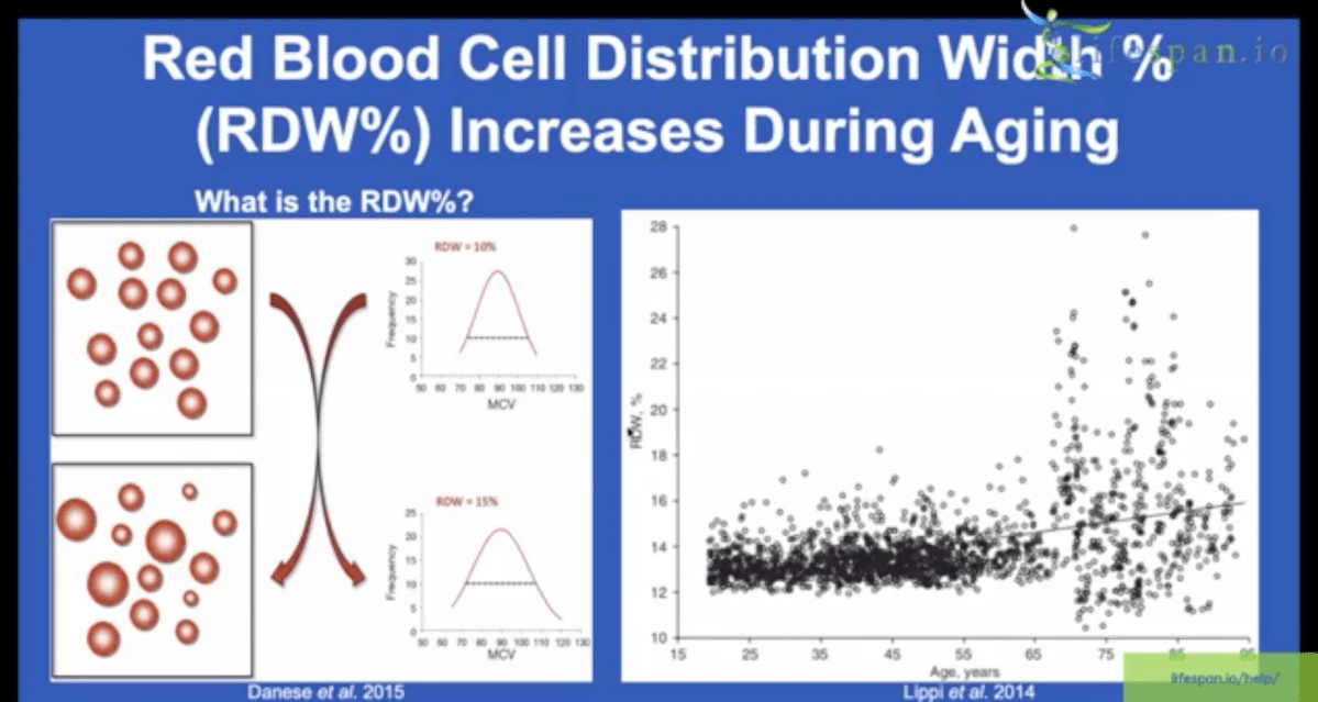 Blood Testing: MCV, RDW. What’s Optimal for Health and Longevity ...