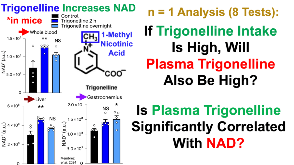 Plasma Trigonelline: A Mediator For Dietary Trigonelline To Increase ...