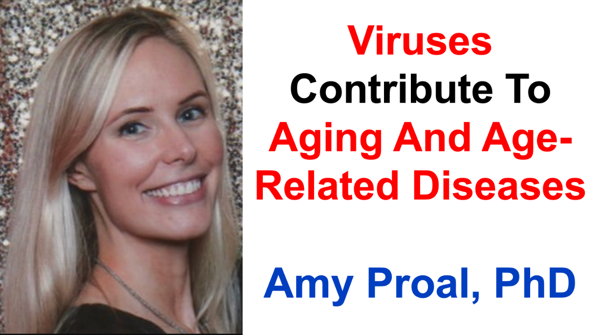 Viruses Contribute To Aging And Age-Related Diseases: Amy Proal, PhD ...