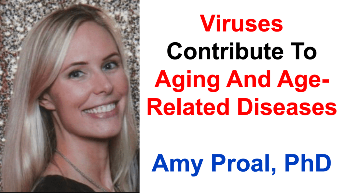 Viruses Contribute To Aging And Age-Related Diseases: Amy Proal, PhD ...