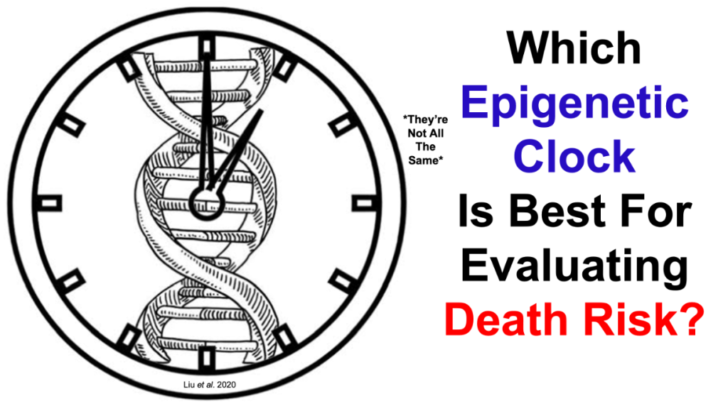 Which Epigenetic Clock Is Best For Evaluating Death Risk? | Michael ...